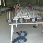 Anti-Tank Wire Mesh Barrier | Track Wire Mesh Manufacturer