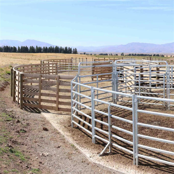 Australian Cattle Panels for Durable Farm Solutions