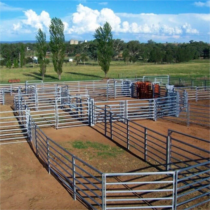 Affordable Cattle Panels for Farms: Durable & Reliable