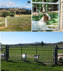Farm Gates Design: Your Guide to Choose the Right Size